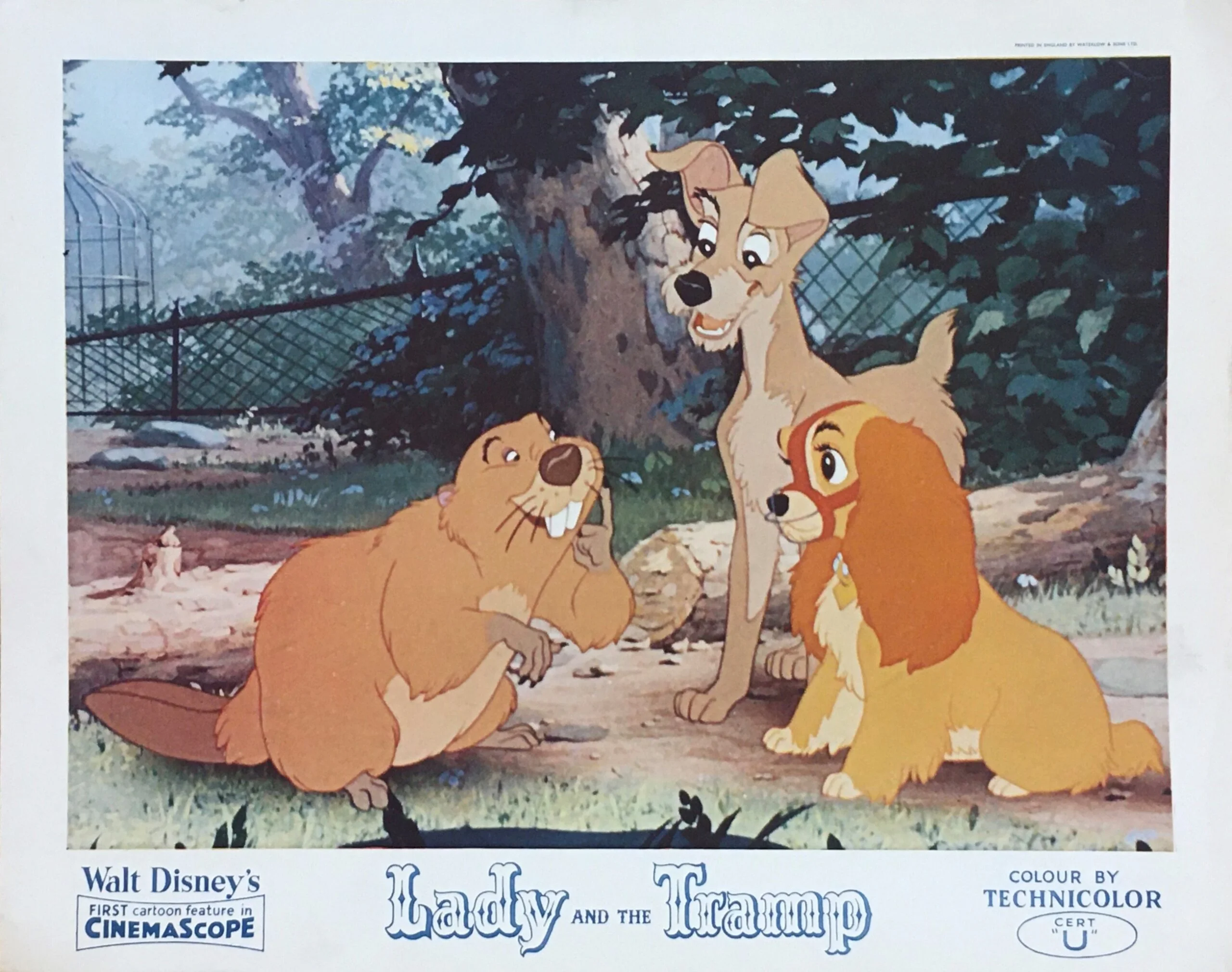 Lady And The Tramp Poster Watch Lady And The Tramp | Disney+